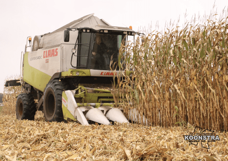 Corn Cob Mix (CCM), Maiskolvenschroot (MKS) - Maisexpert