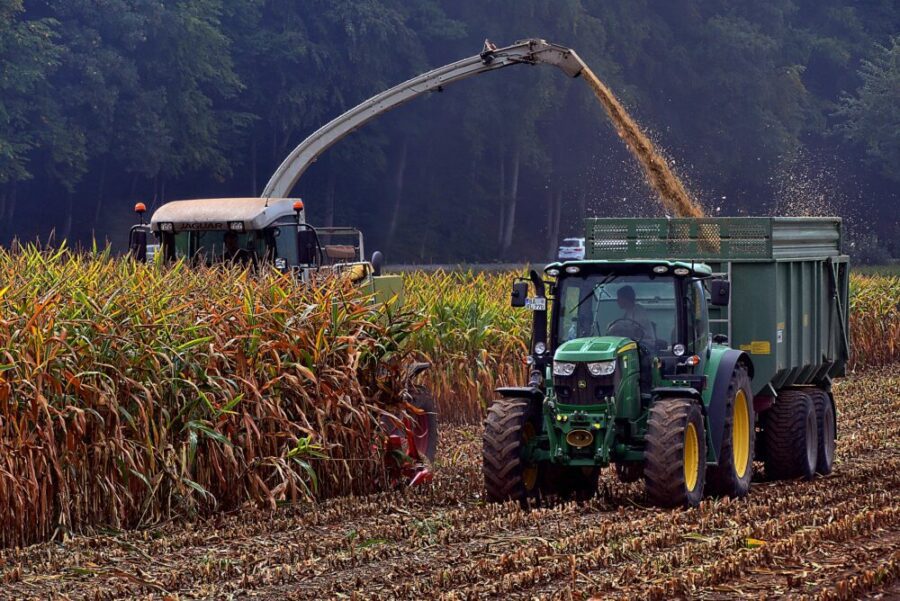Corn Cob Mix (CCM), Maiskolvenschroot (MKS) - Maisexpert